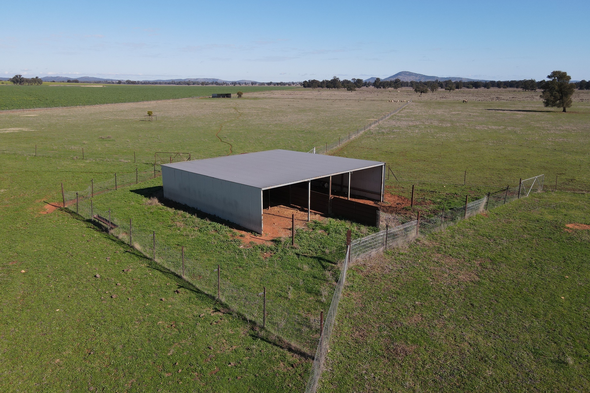 Wirrinya Road, Forbes NSW 2871 – McGrath Riverina Real Estate