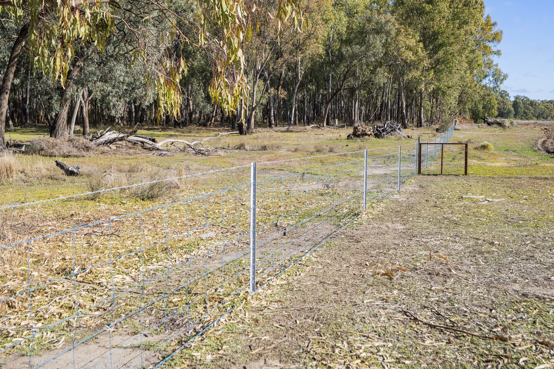 4007 Kiacatoo Road, Condobolin NSW 2877 – McGrath Riverina Real Estate
